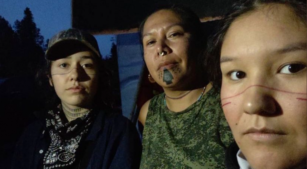 How have Indigenous land defence struggles emerged during the Canadian ...